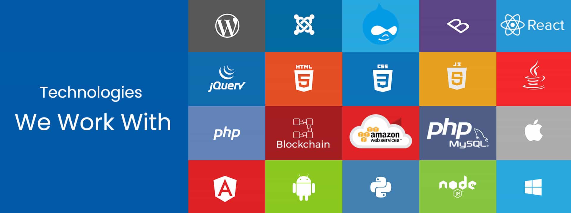 Best Custom Software Development & Solutions Provider in USA